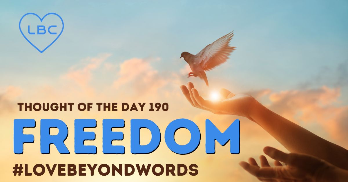 Day 190 Freedom - Love Beyond Church