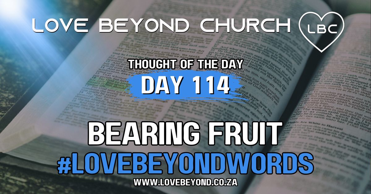 Day 114 Bearing Fruit - Love Beyond Church